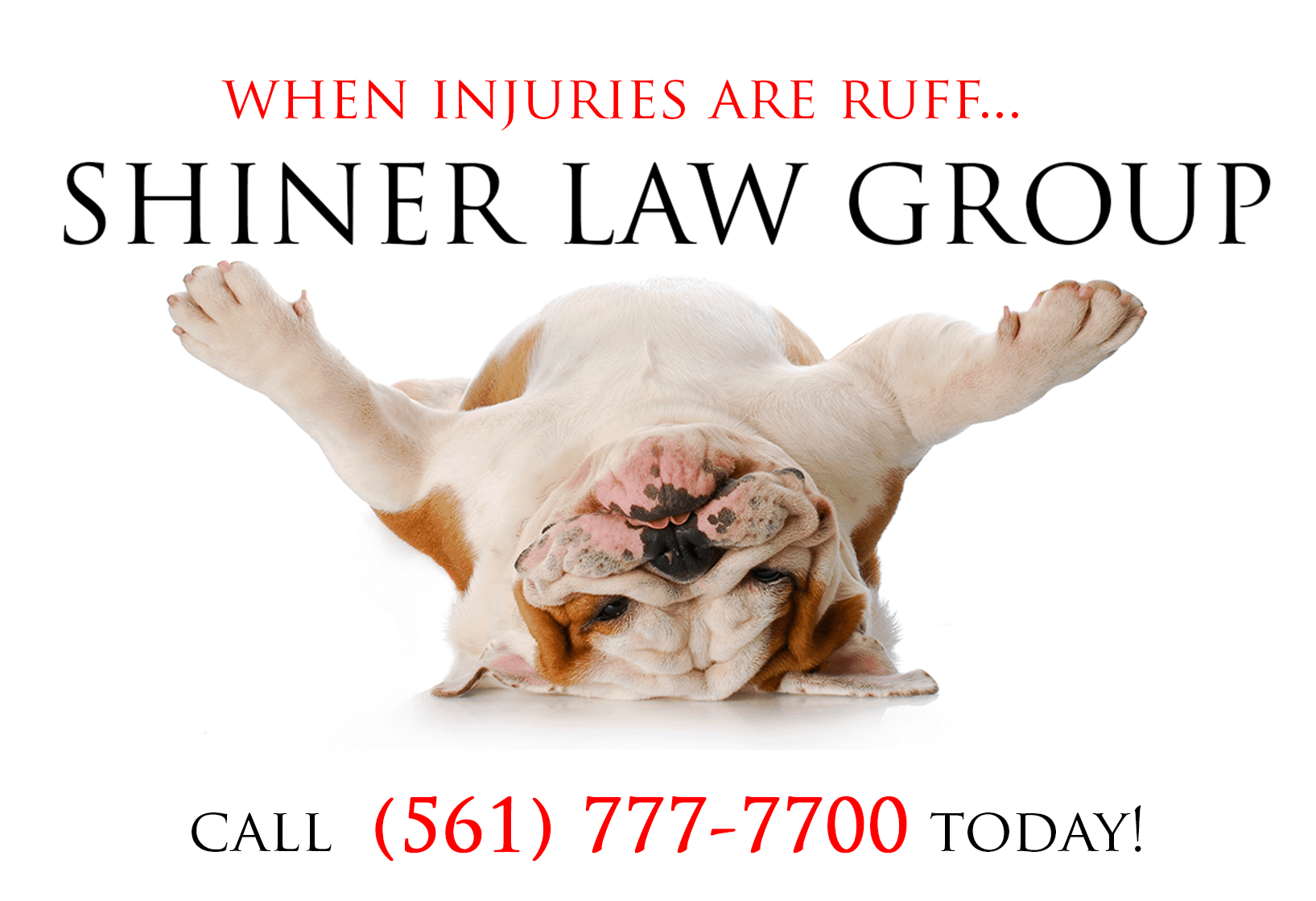 Florida Personal Injury Attorneys | Shiner Law Group
